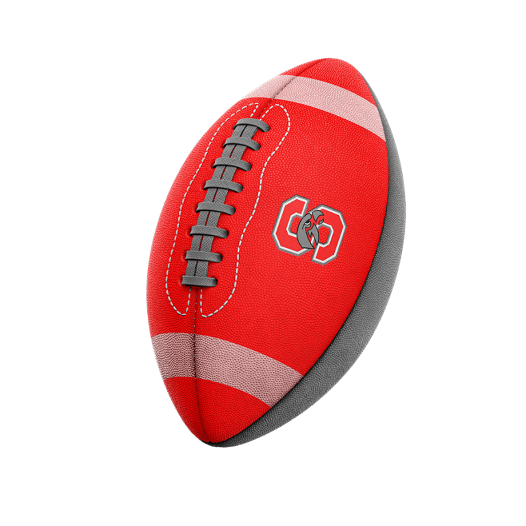 FLAG FOOTBALL: 2025 Week 1 Florida Top 25 and Classification Rankings ...